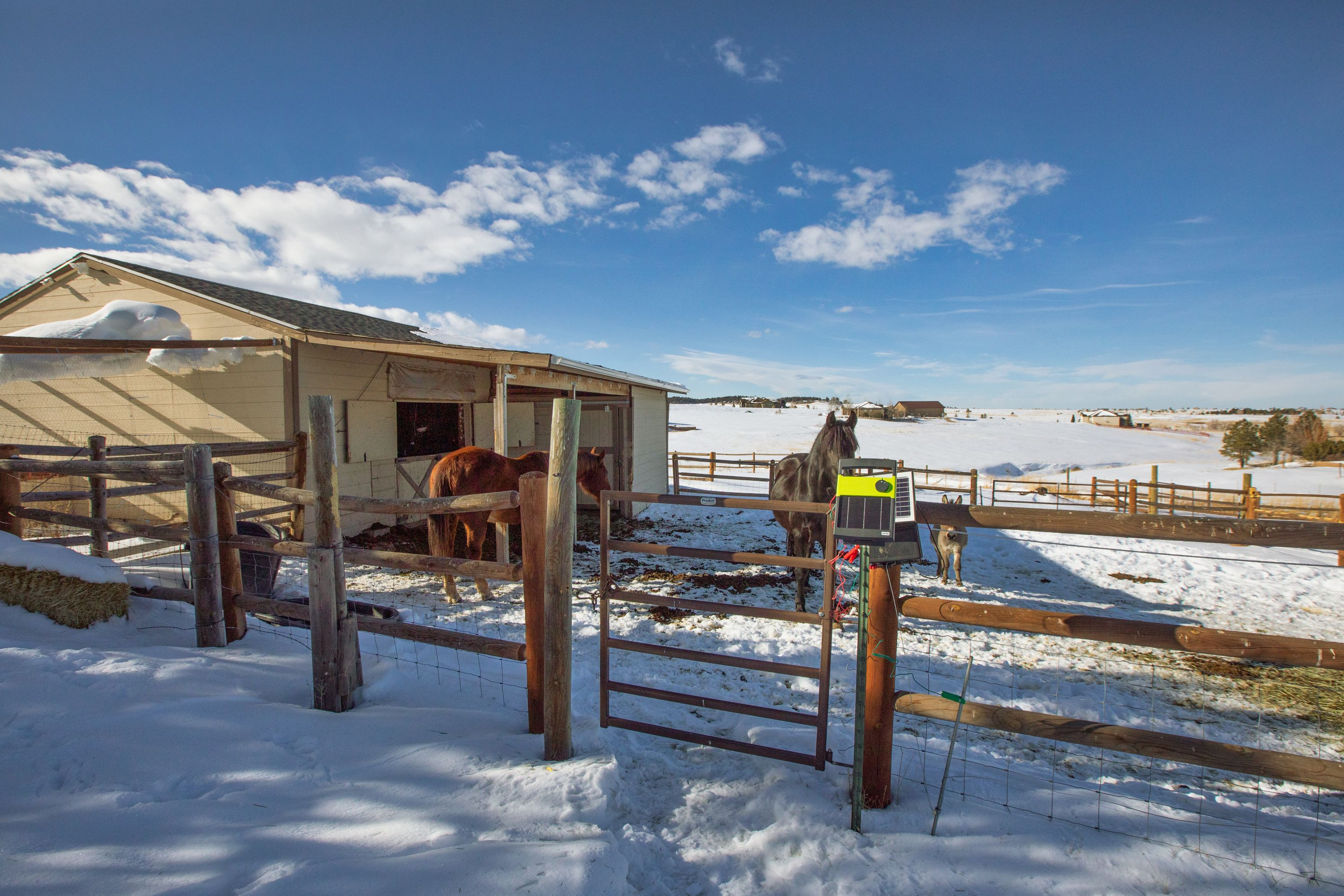 5880 Filly Lane, Colorado Springs, CO 80908 | CVImages LLC | Tour